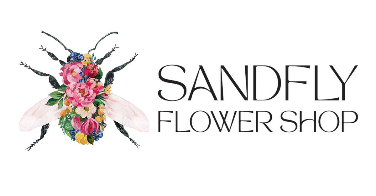 Little Wren Birdbath Fountain – Sandfly Flower Shop